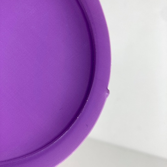 Disney | Accessories | New Disney Parks Tangled Rapunzel Pascal Mickey ...